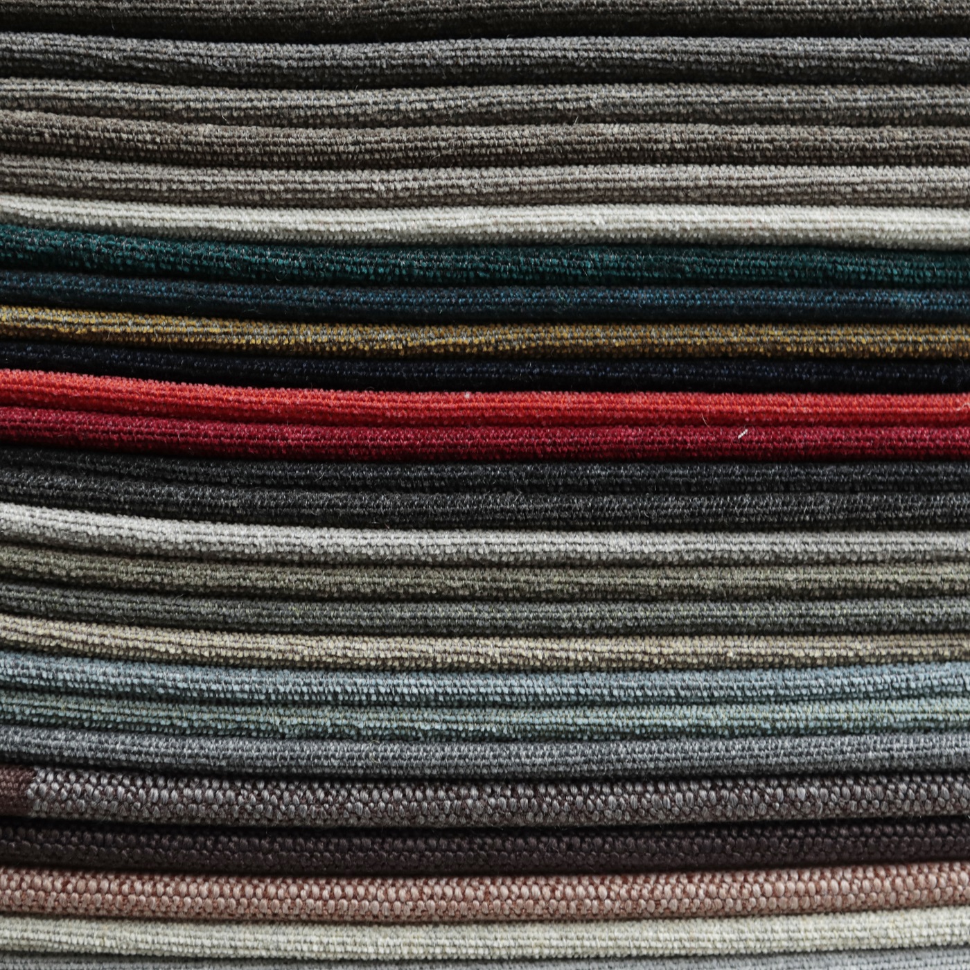 Steppe | Bisson Bruneel